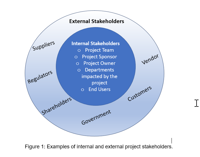 Golden Rules of Stakeholder Engagement in Business Analysis - Business ...
